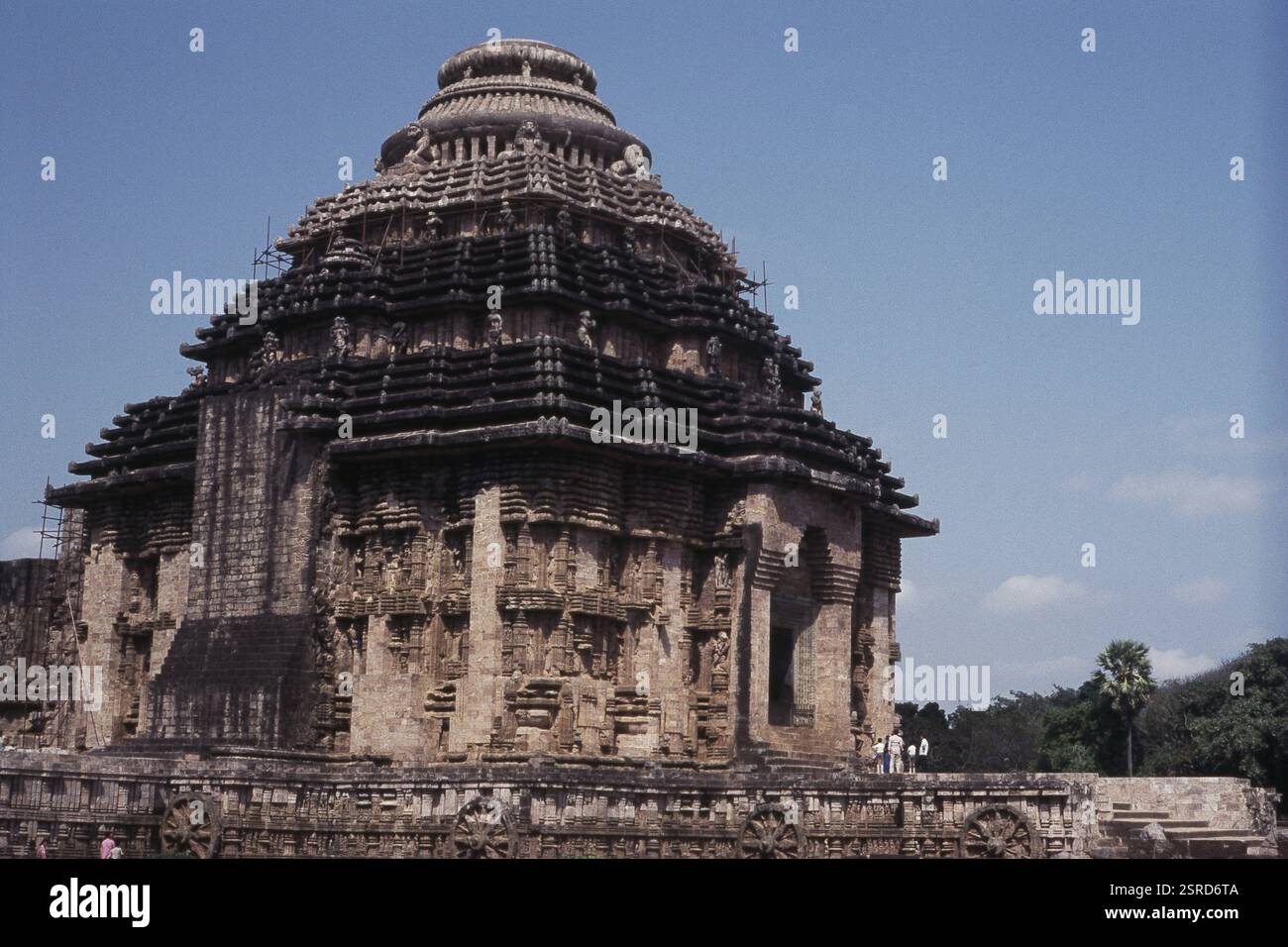 Side view of Konark Sun Temple in Orissa, India, Asia Stock Photo - Alamy