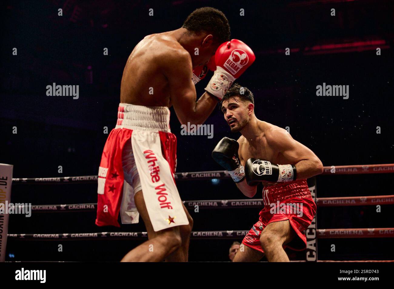 Neu Ulm, Deutschland. 15th Feb, 2025. Mert Caliskan vs. Jampier Oses GER, Felix Sturm vs ...