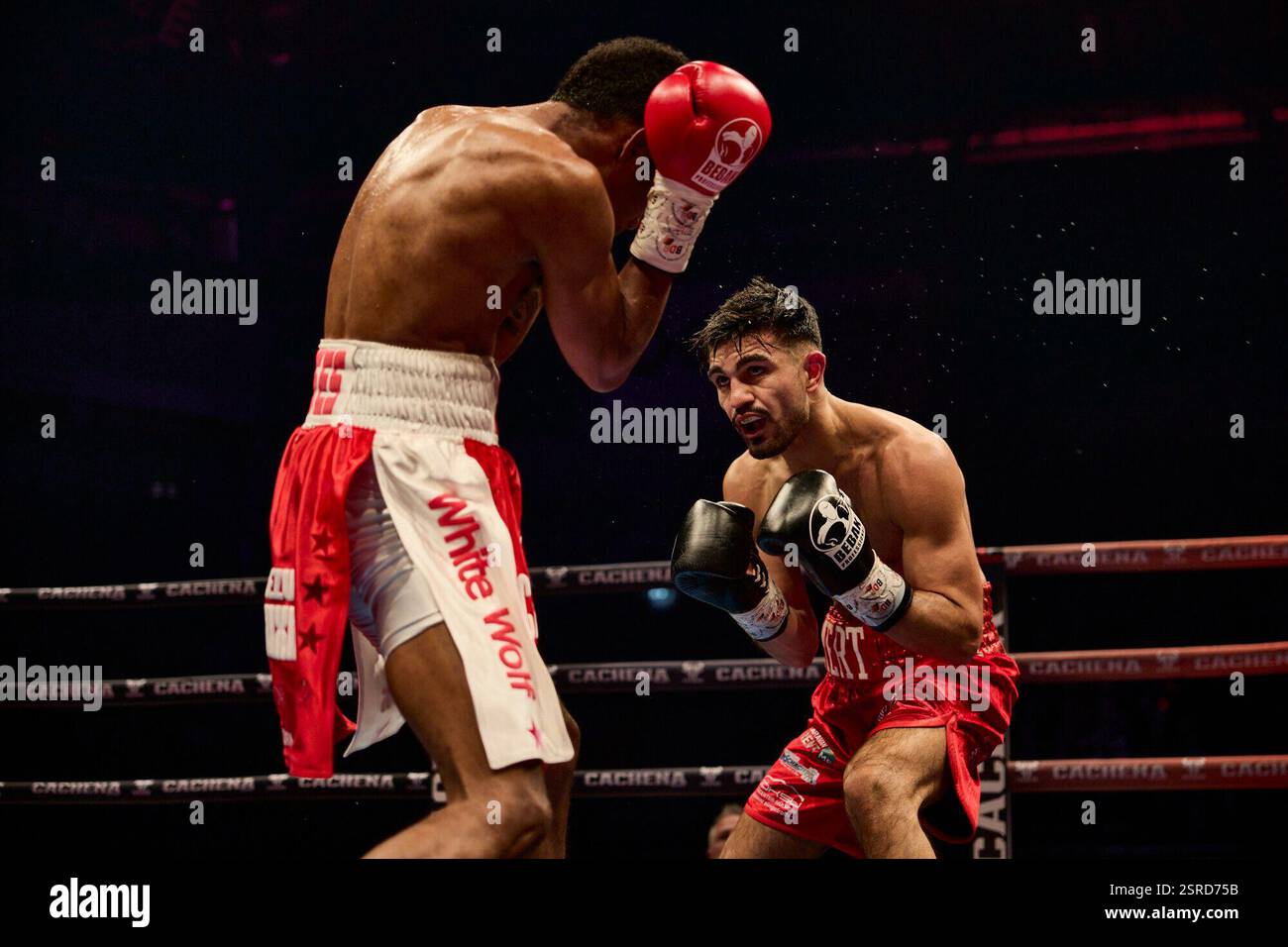 Neu Ulm, Deutschland. 15th Feb, 2025. Mert Caliskan vs. Jampier Oses GER, Felix Sturm vs ...