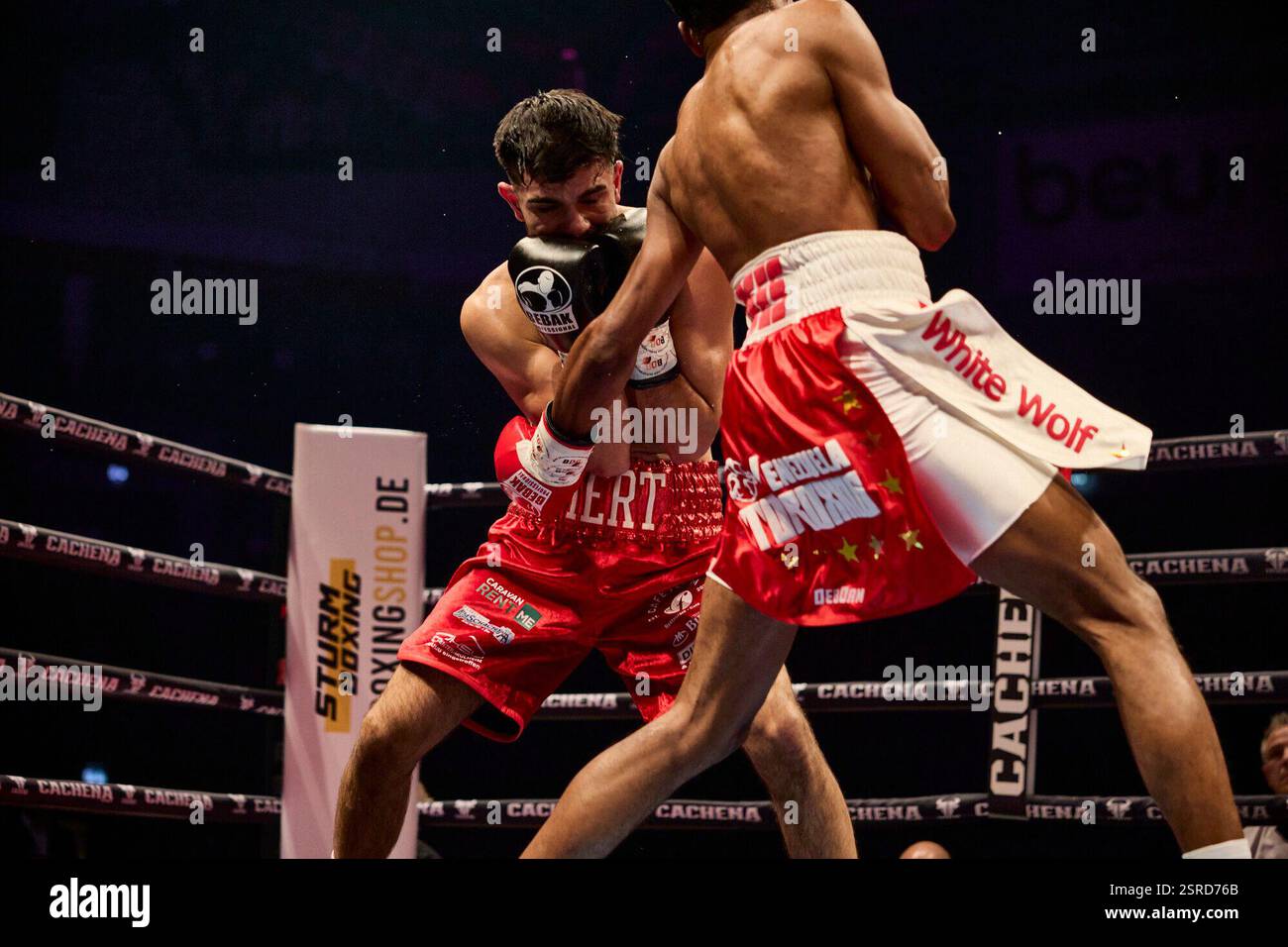 Neu Ulm, Deutschland. 15th Feb, 2025. Mert Caliskan vs. Jampier Oses GER, Felix Sturm vs ...