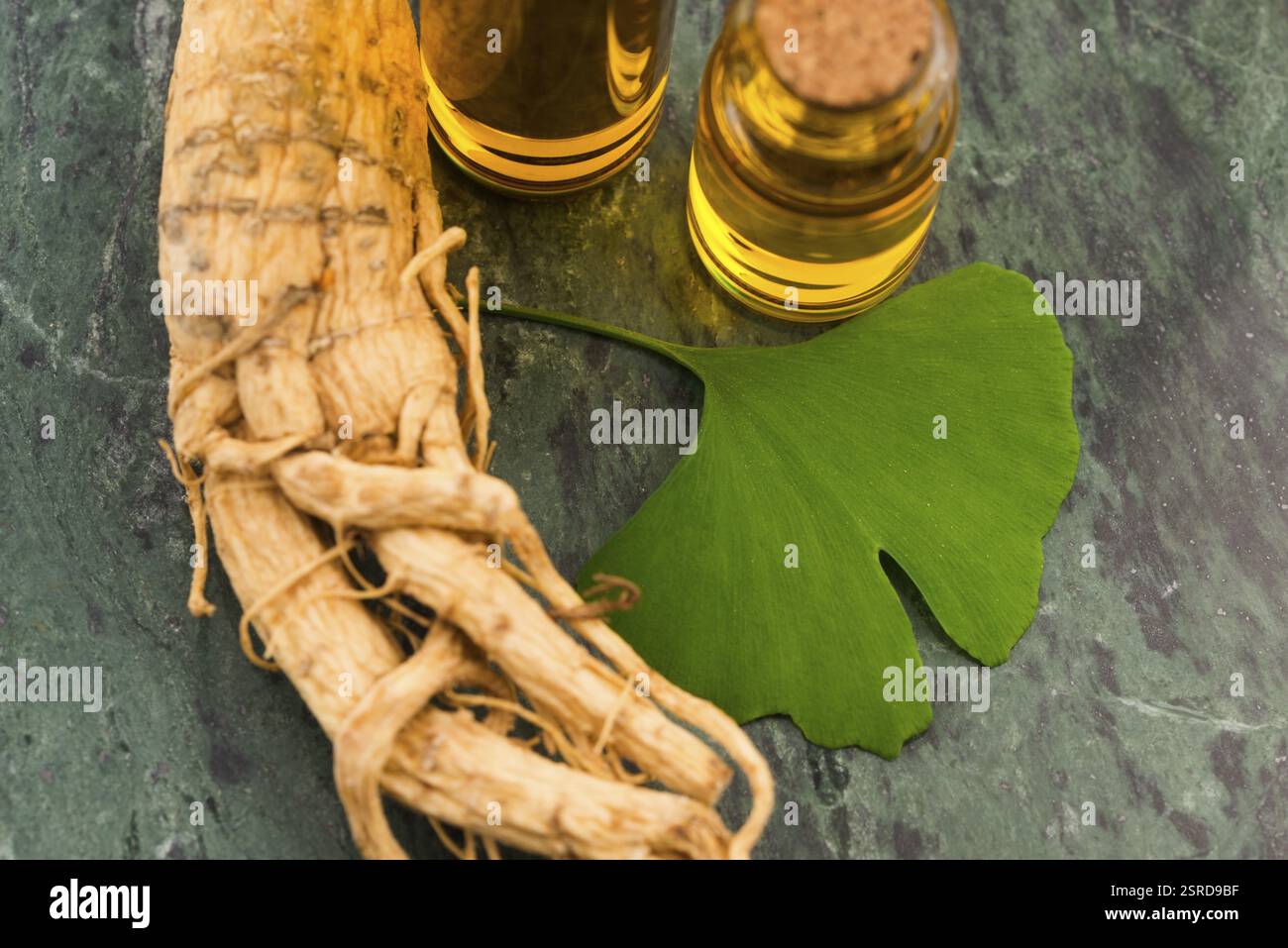 Extract of ginseng root and ginkgo biloba leaves Stock Photo - Alamy