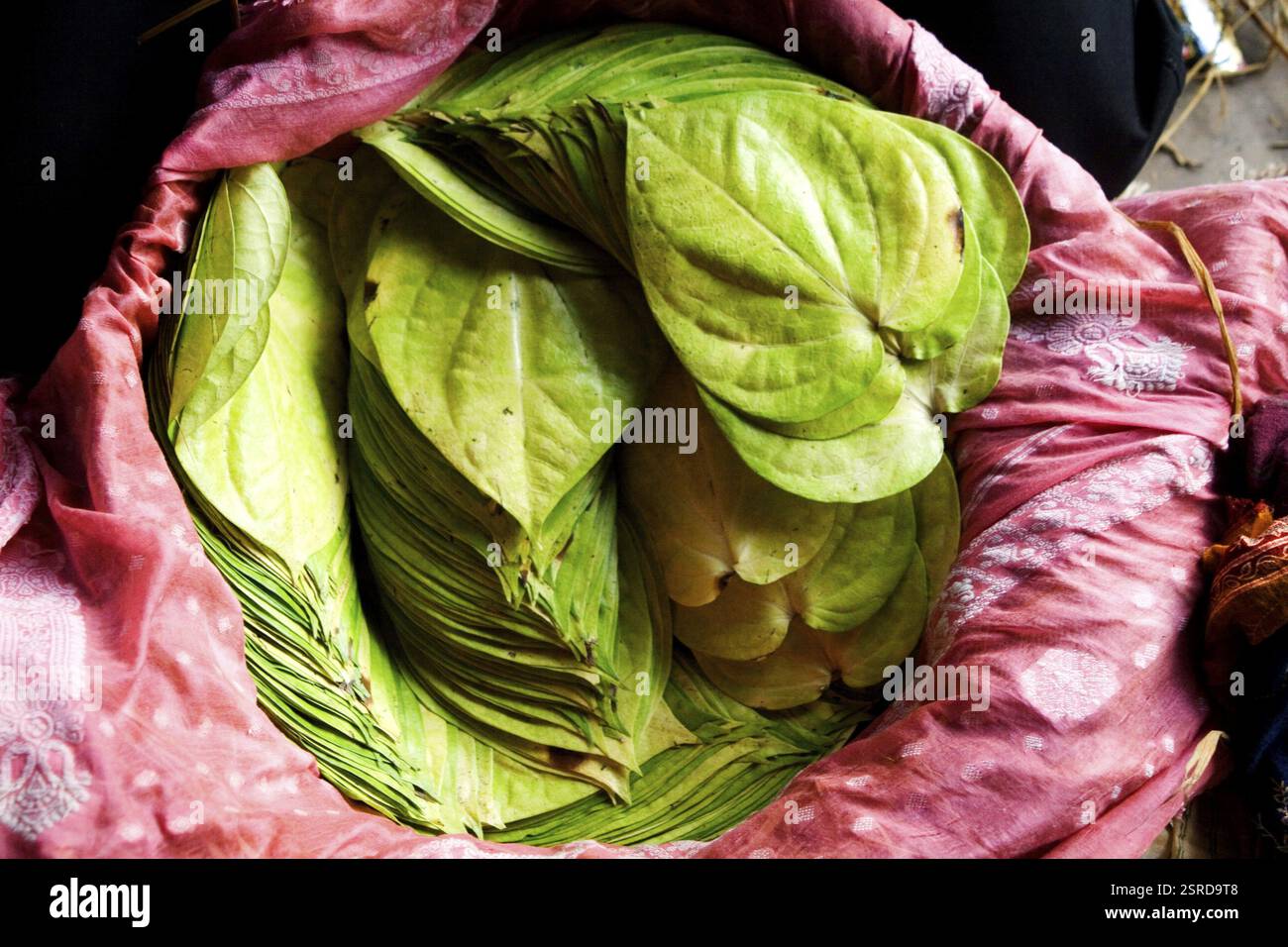Betel leaves, India, Asia Stock Photo - Alamy