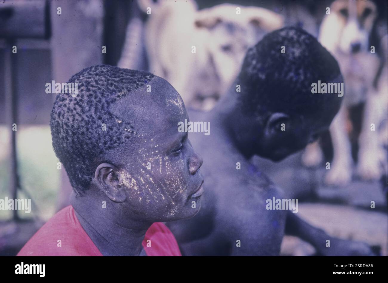 Negrito tribal hi-res stock photography and images - Alamy