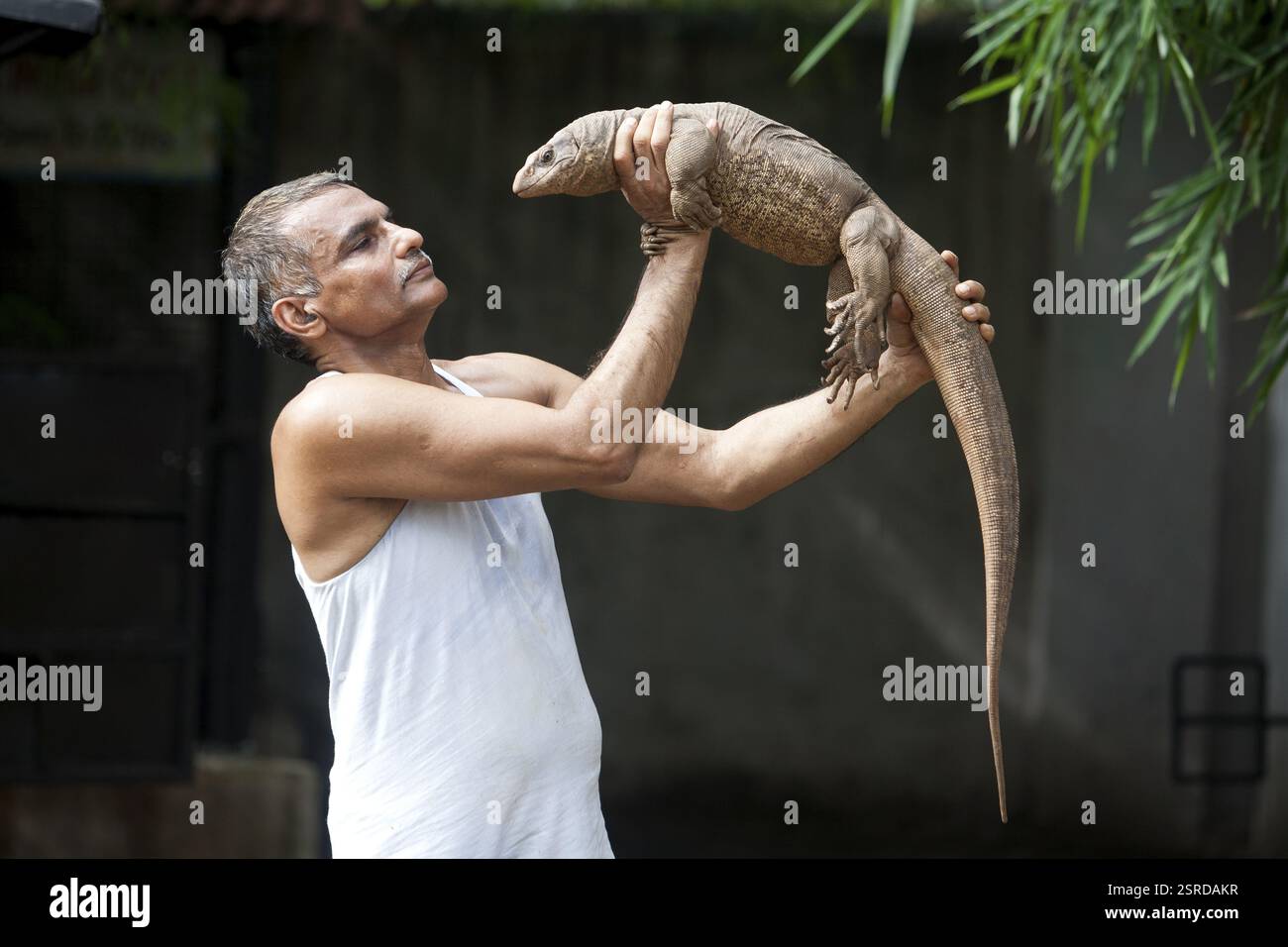 Dr prakash amte holding lizard, nagpur, maharashtra, india, asia Stock ...