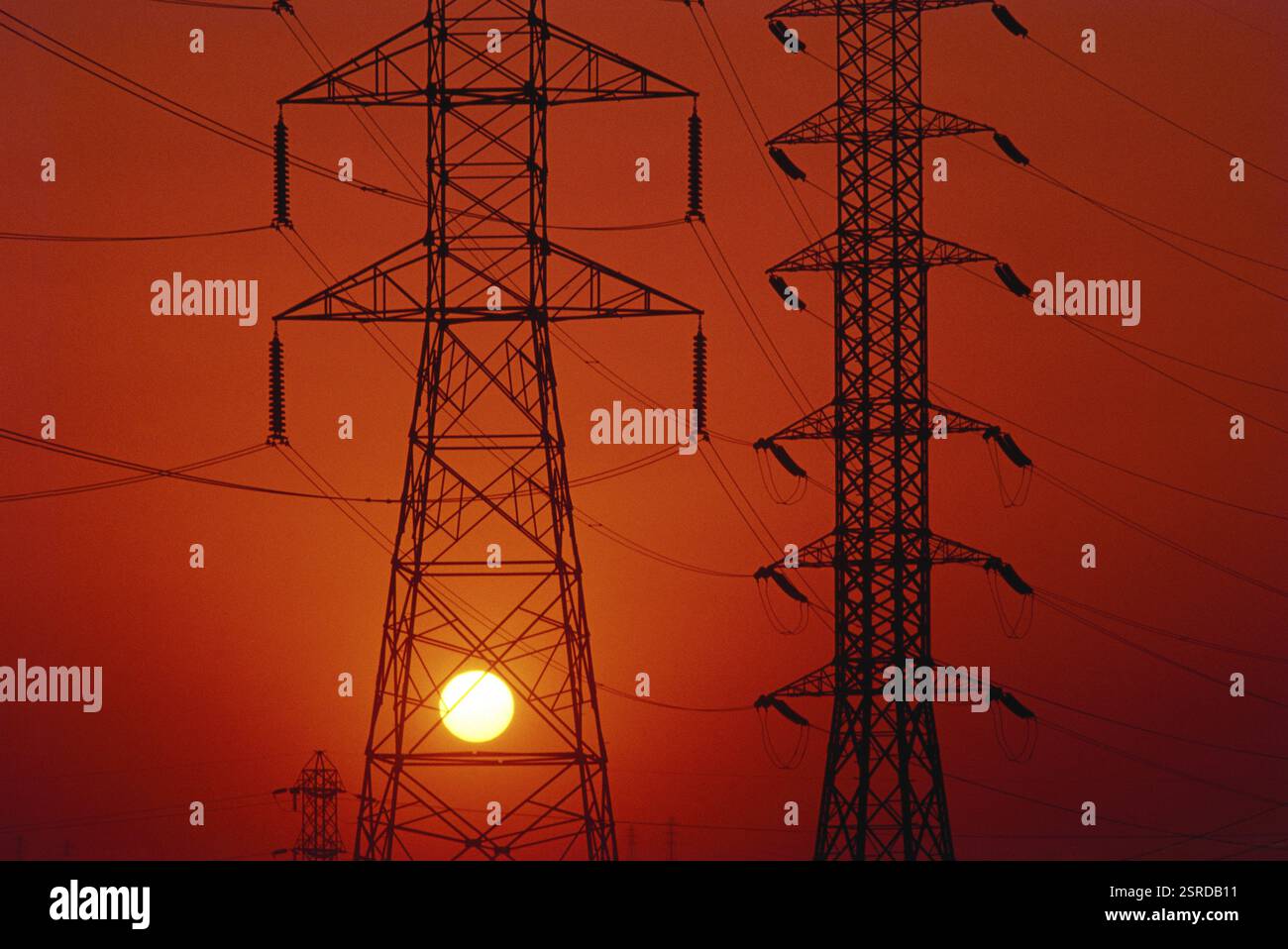 Electricity power lines in silhouette, India, Asia Stock Photo - Alamy