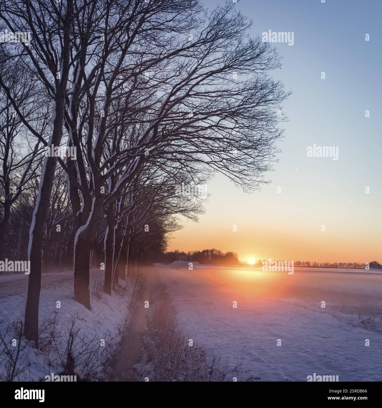 Winter landscape with color look Stock Photo - Alamy