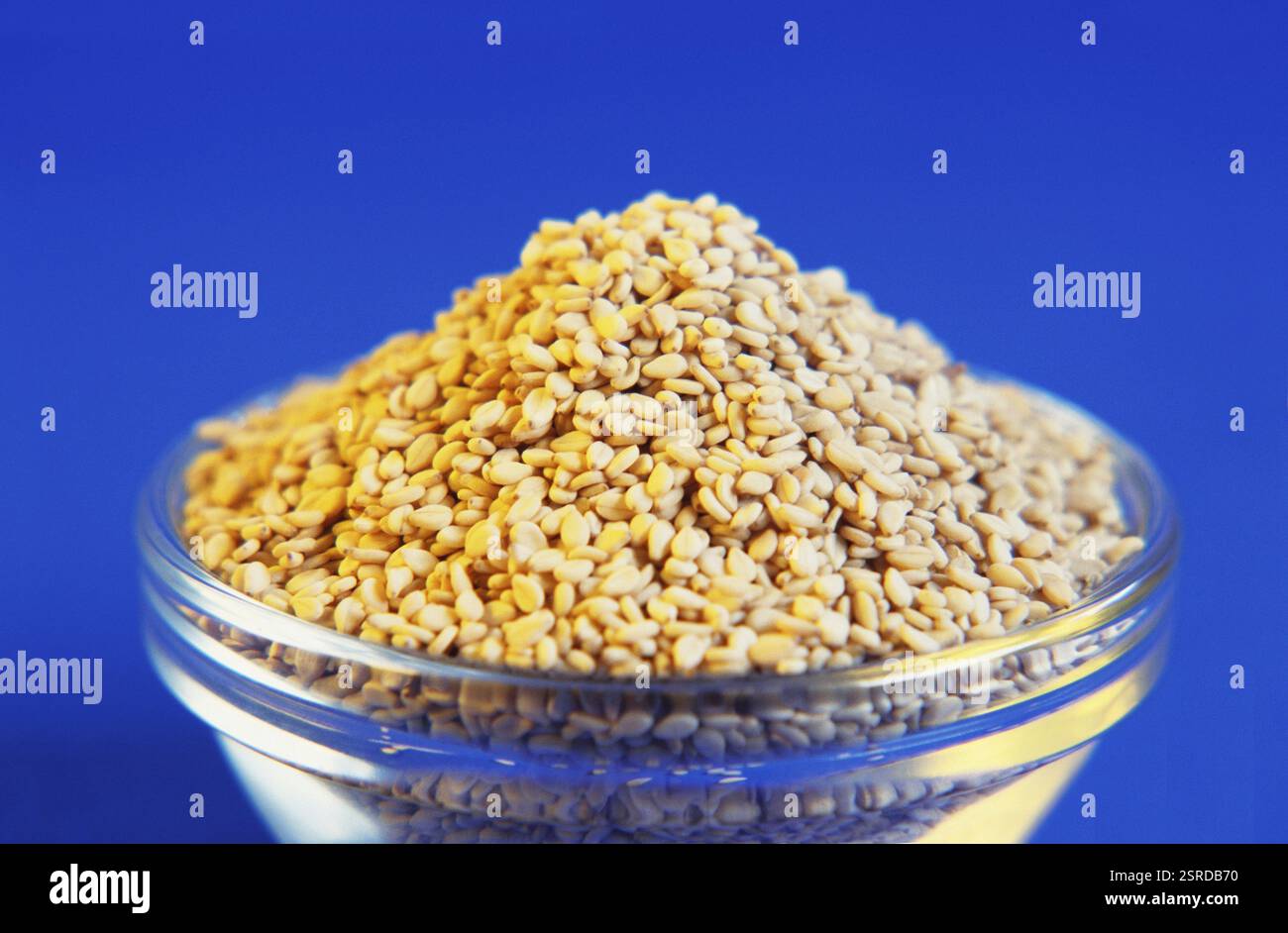 White sesame Sesamum indicum, India, Asia Stock Photo - Alamy