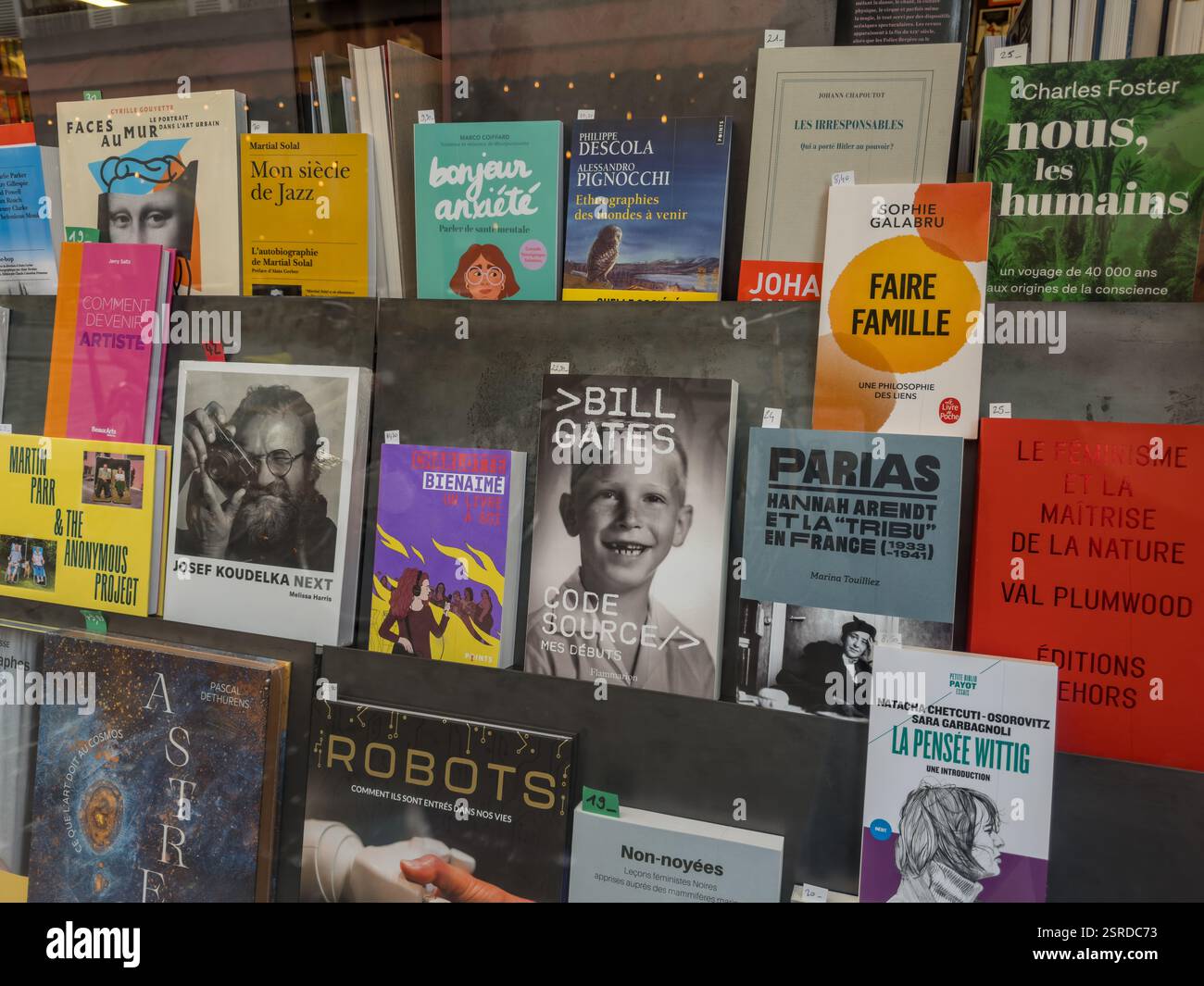 Colorful display of diverse books in a vibrant bookstore window Stock ...