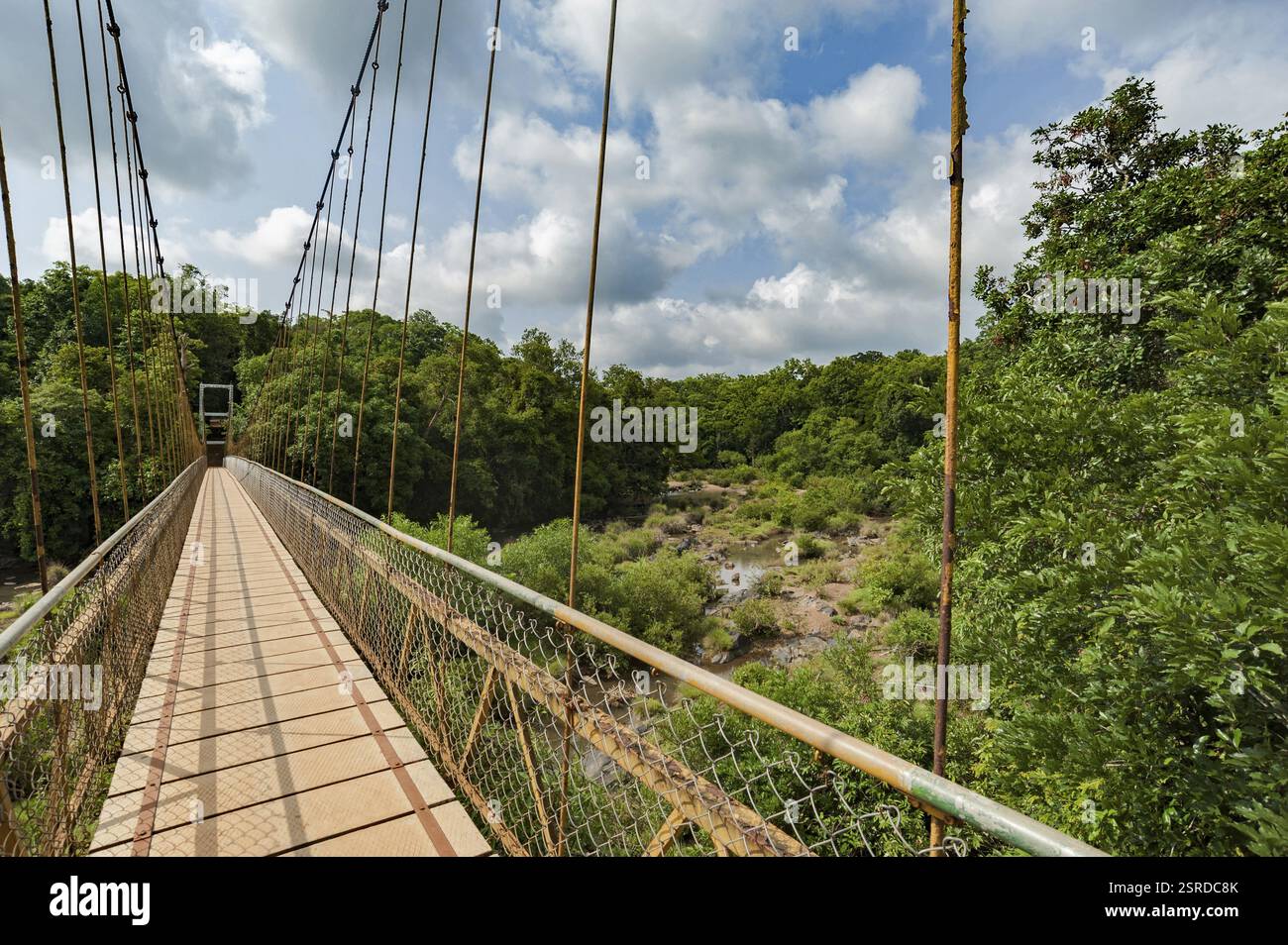 Hanging bridge, karnataka, india, asia Stock Photo - Alamy