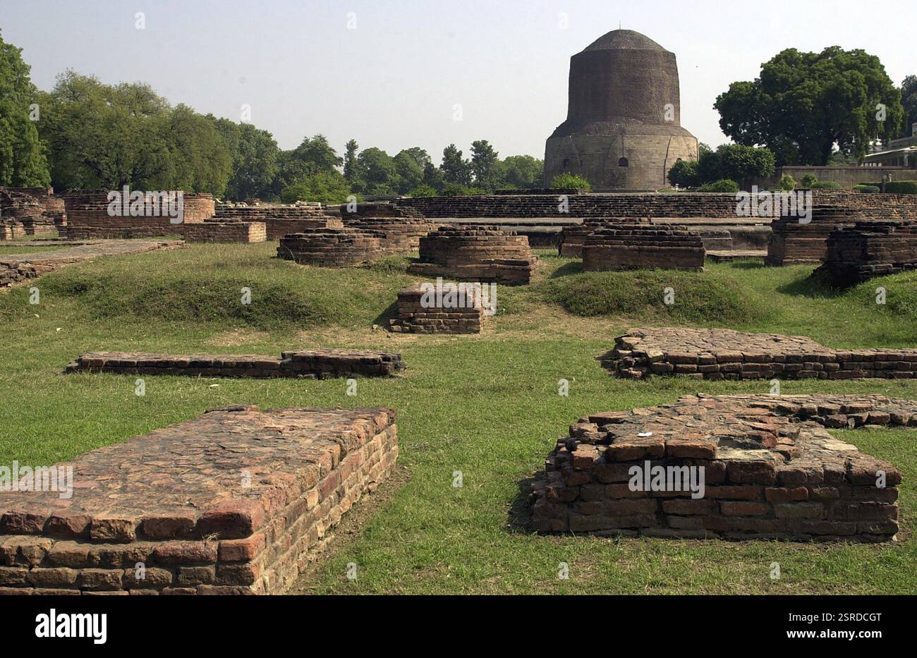 Dhamekh stupa, sarnath, varanasi, uttar pradesh, India, Asia Stock ...