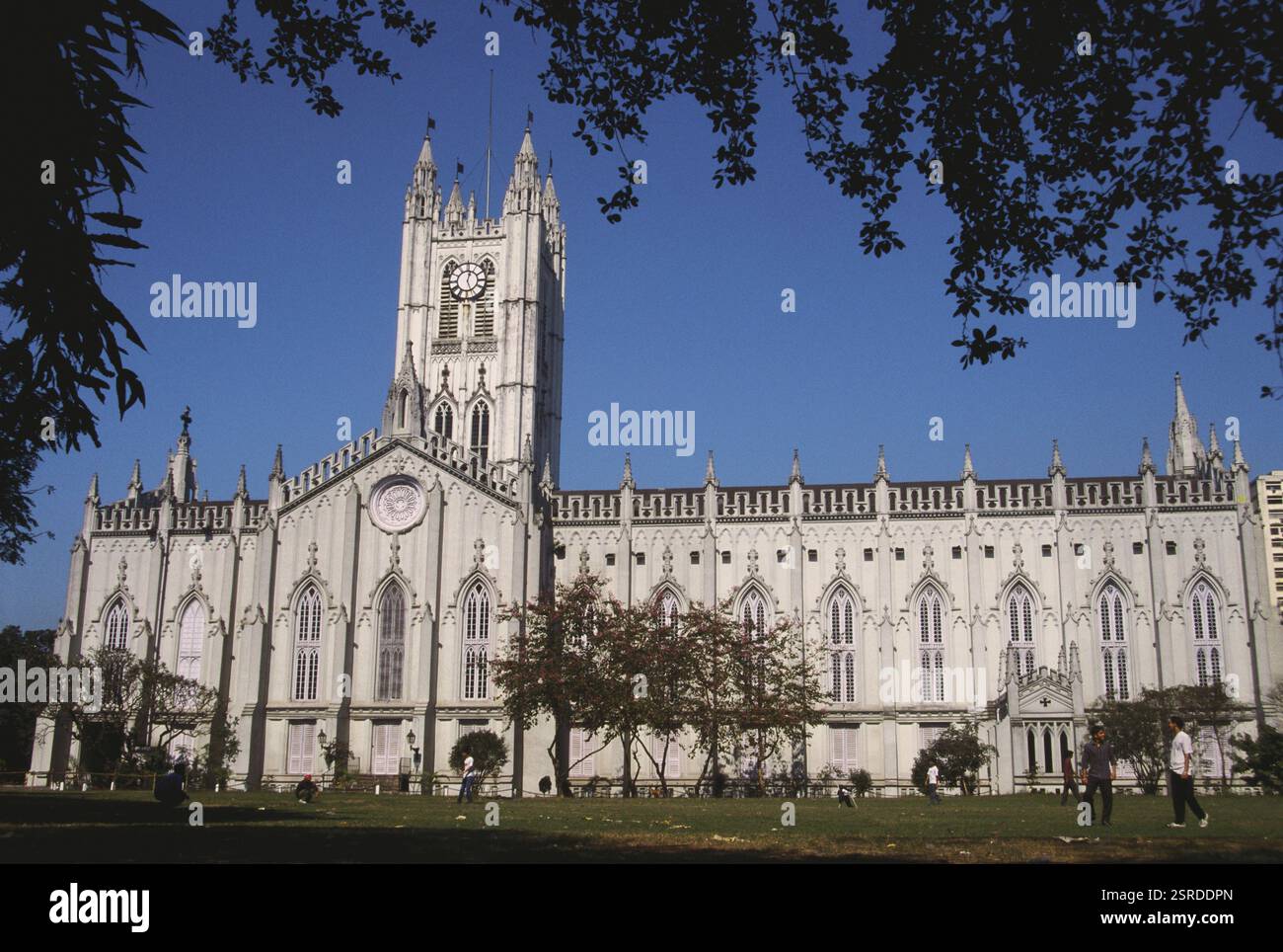 Saint Cathedral church, Calcutta Kolkata, West Bengal, India, Asia ...