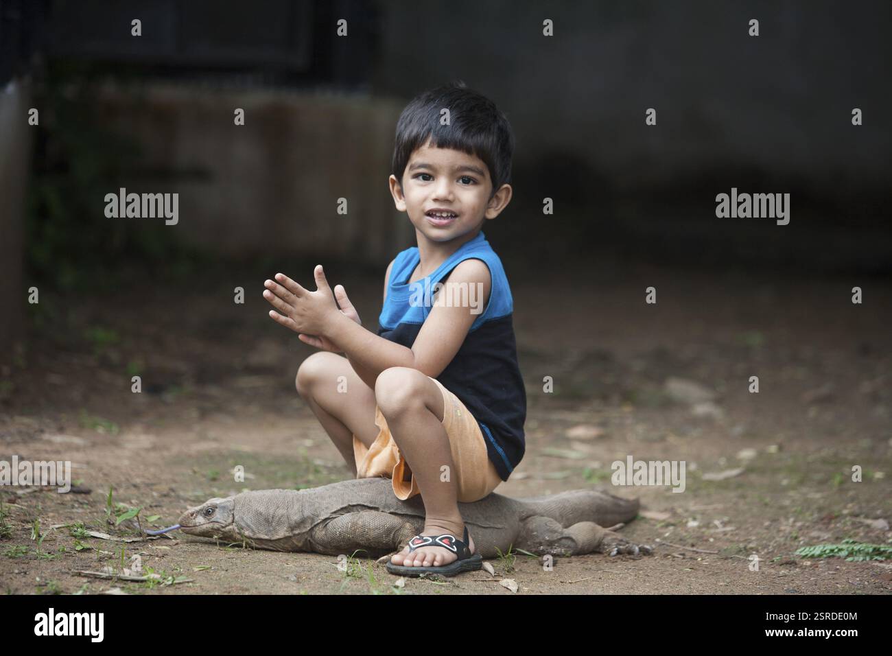 Dr prakash amte grandson playing with lizard, nagpur, maharashtra ...