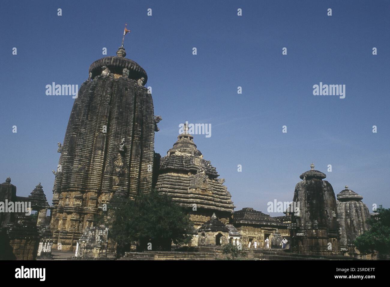 View of Lingaraj Temple, Bhubaneswar, Orissa, India, Asia Stock Photo ...