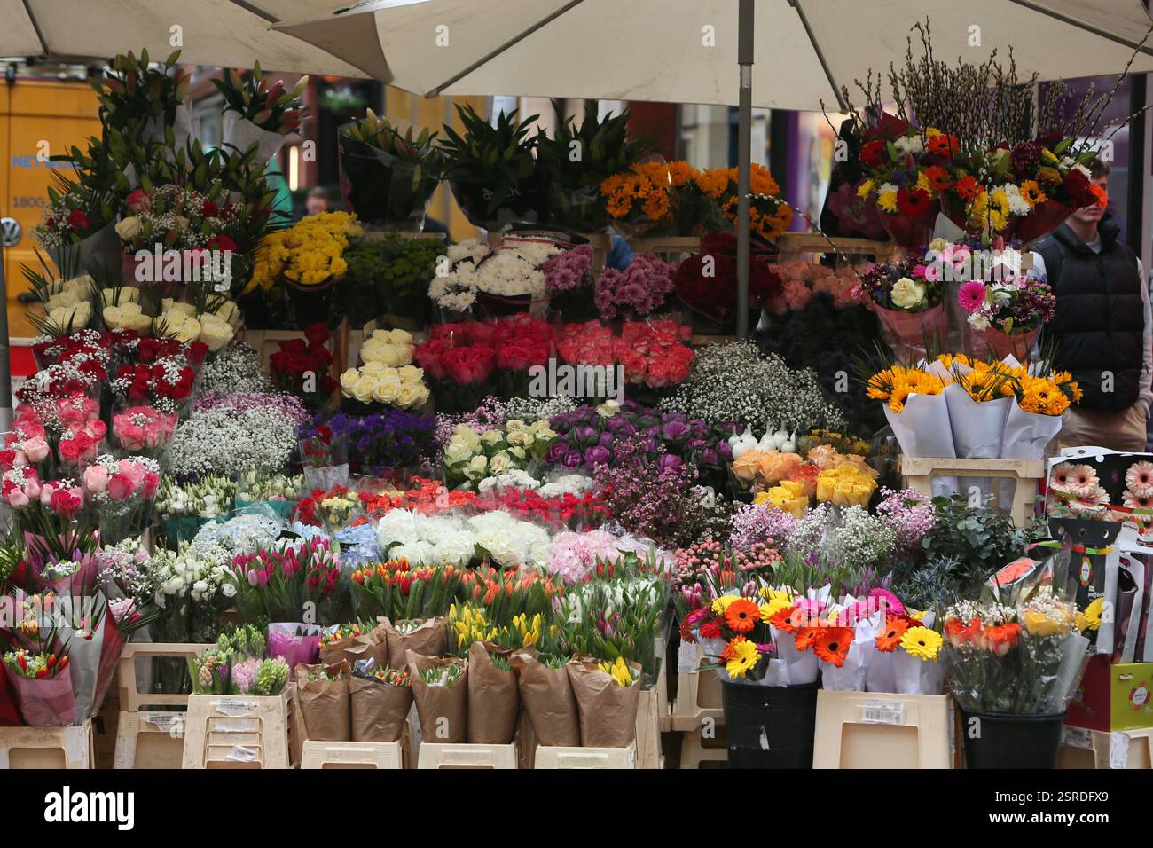 Dublin, Ireland - 11th February 2025 - a wide assortment of different ...