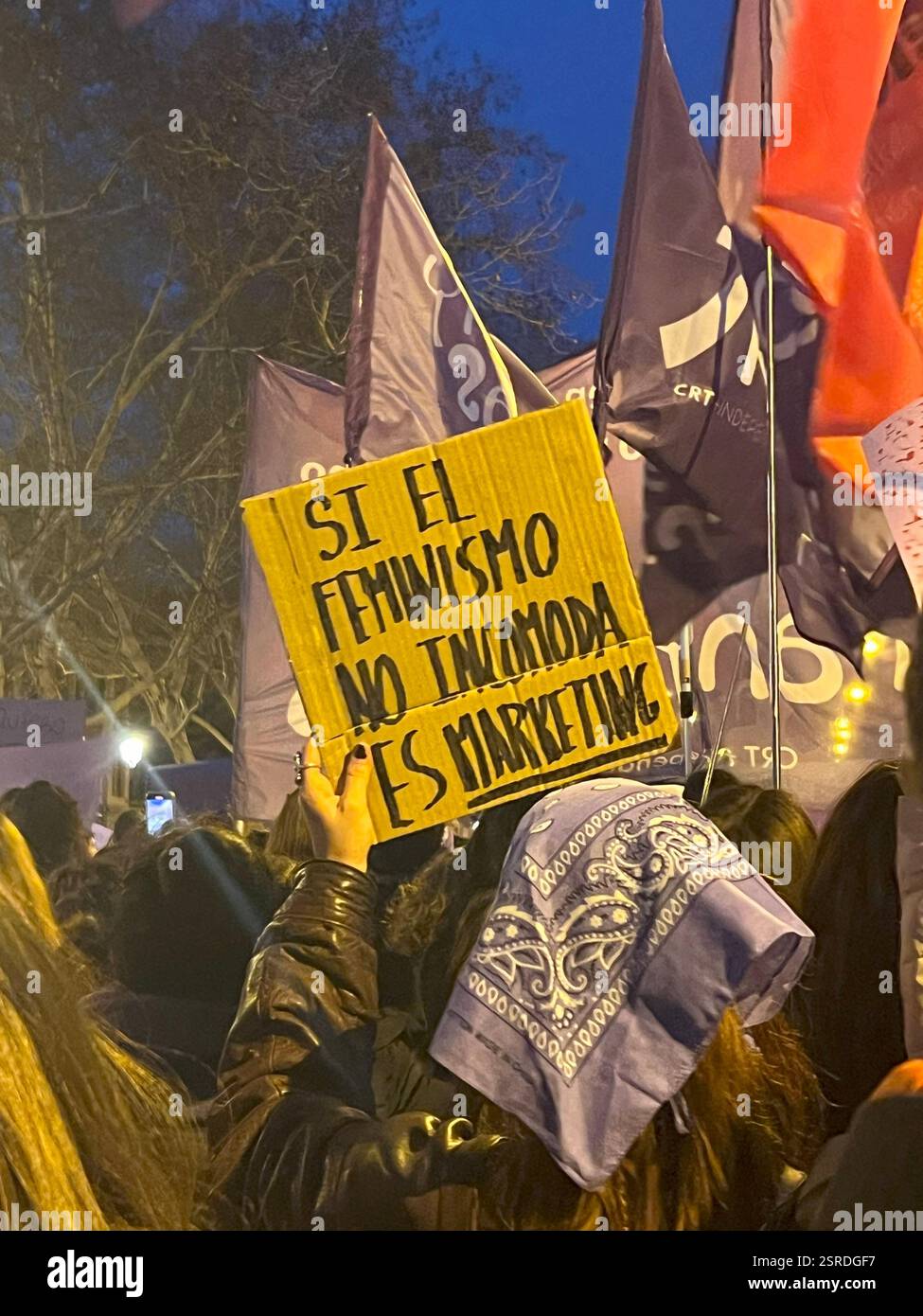 Back view of a woman at the Women's March holding a sign Stock Photo ...