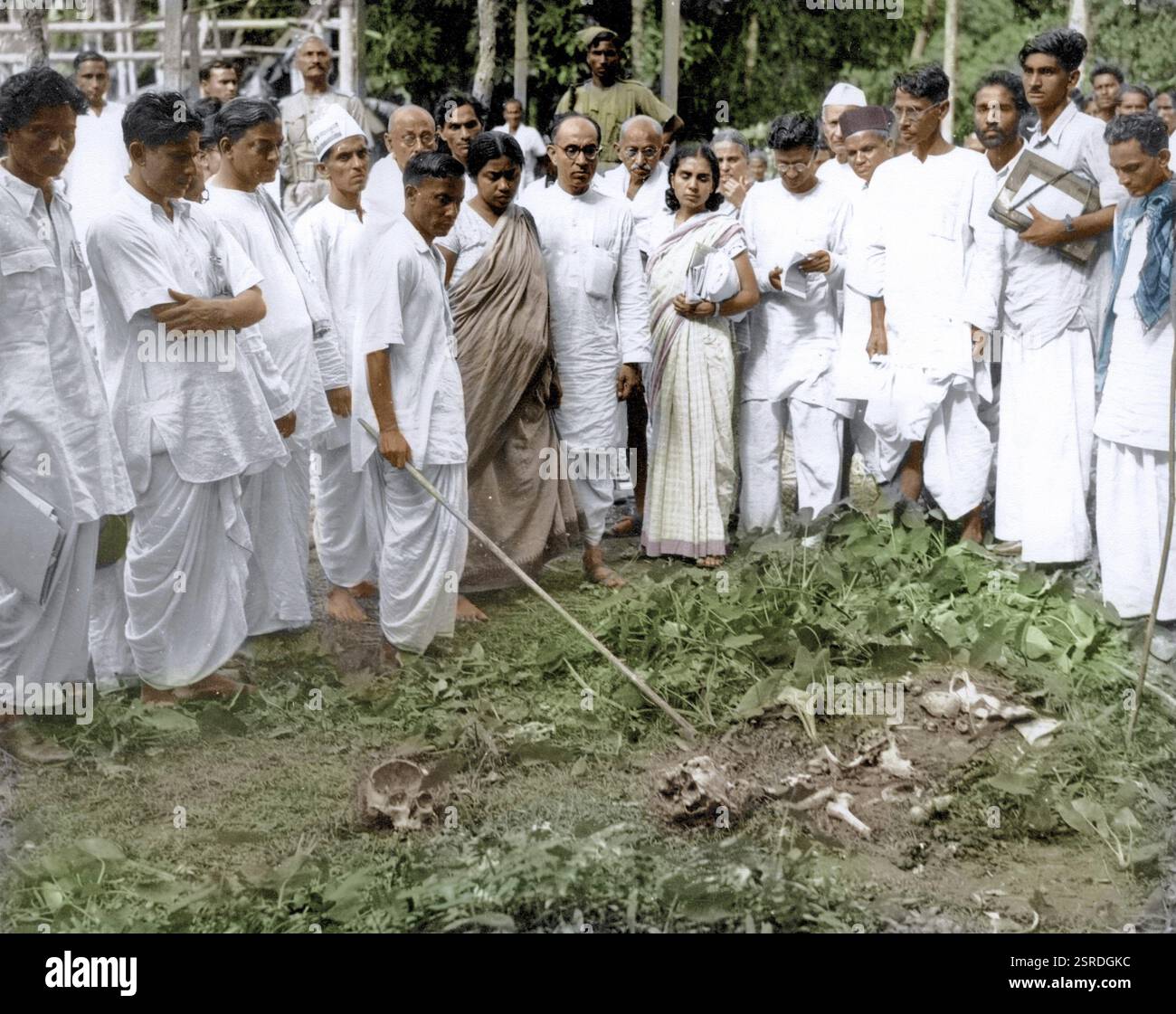 Mahatma Gandhi seeing skeleton during peace march, East Bengal, India ...