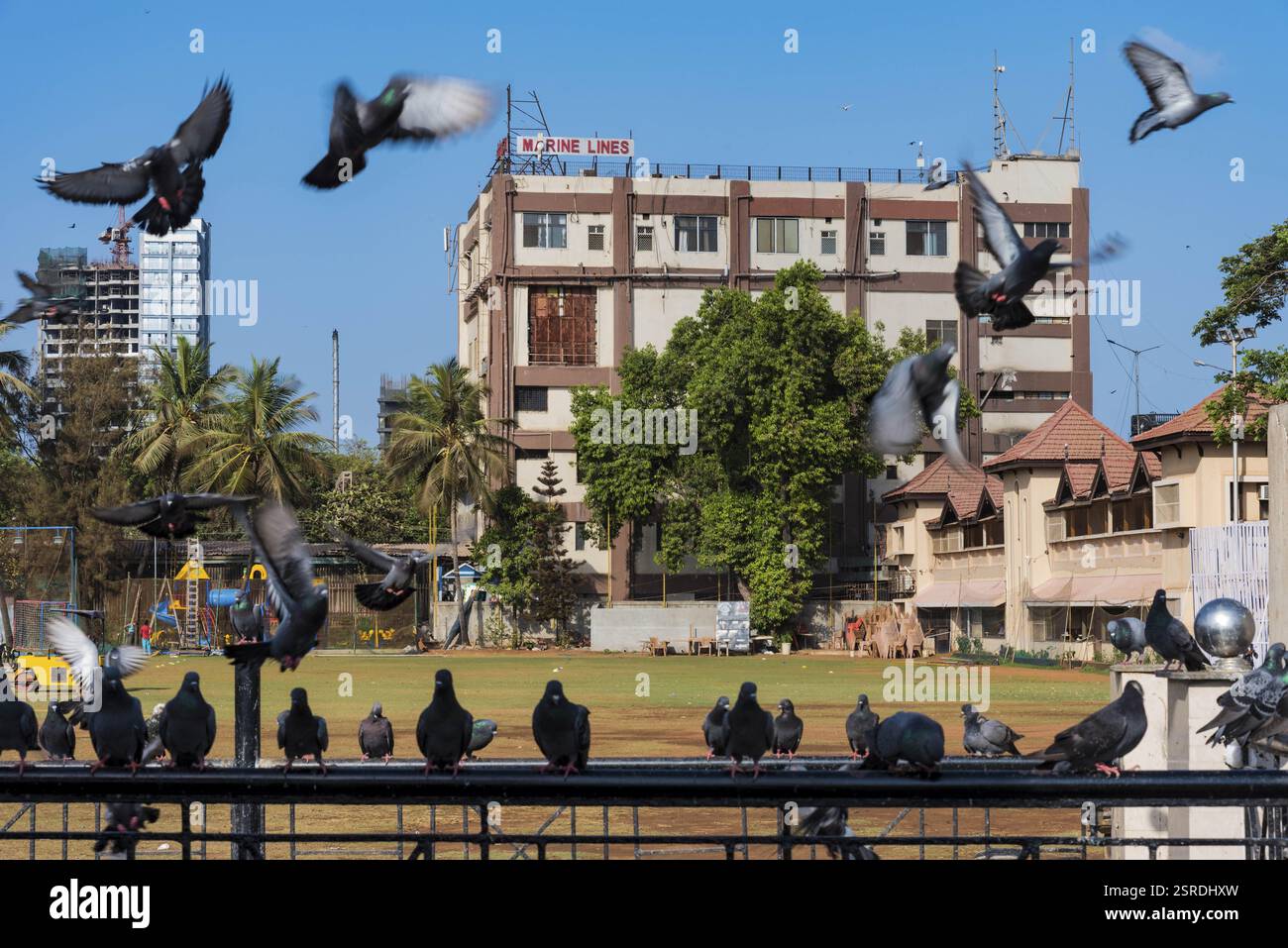 Marine lines station, mumbai, maharashtra, India, Asia Stock Photo - Alamy