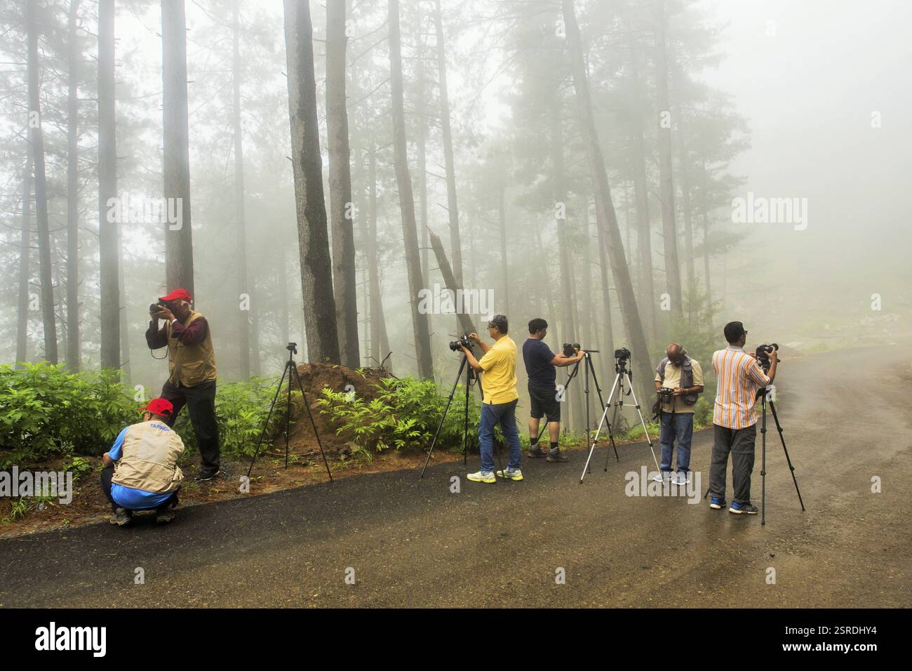 Photographers taking pictures, Doodhpathri, Budgam, Kashmir, India ...