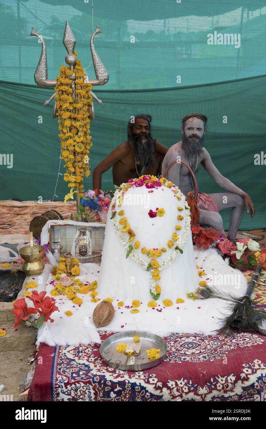 Naga sadhu manoj giri with shivling, kumbh mela, madhya pradesh, india, asia Stock Photo - Alamy