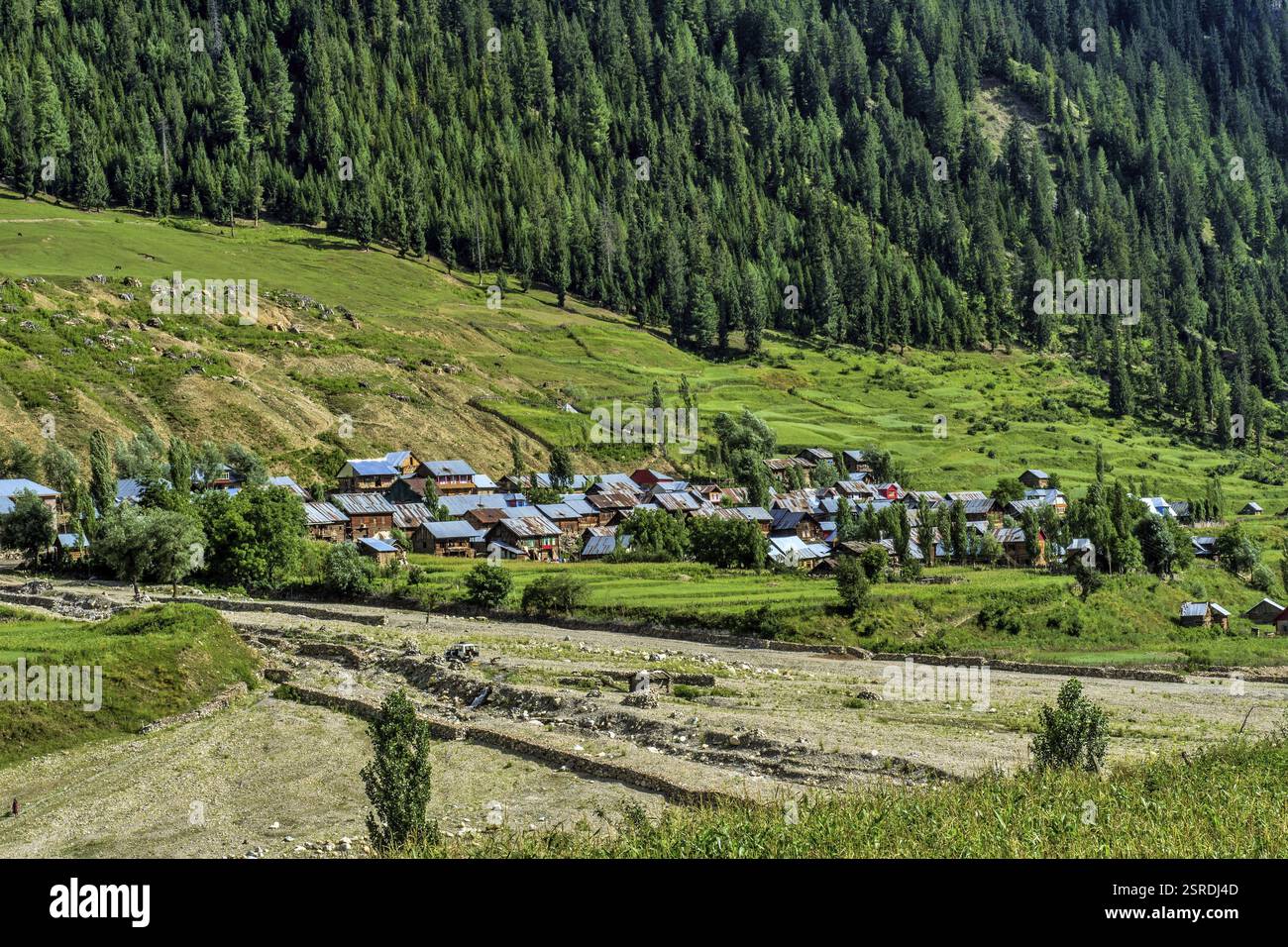 Sheikhpura village, Tulail valley, Kashmir, India, Asia Stock Photo - Alamy