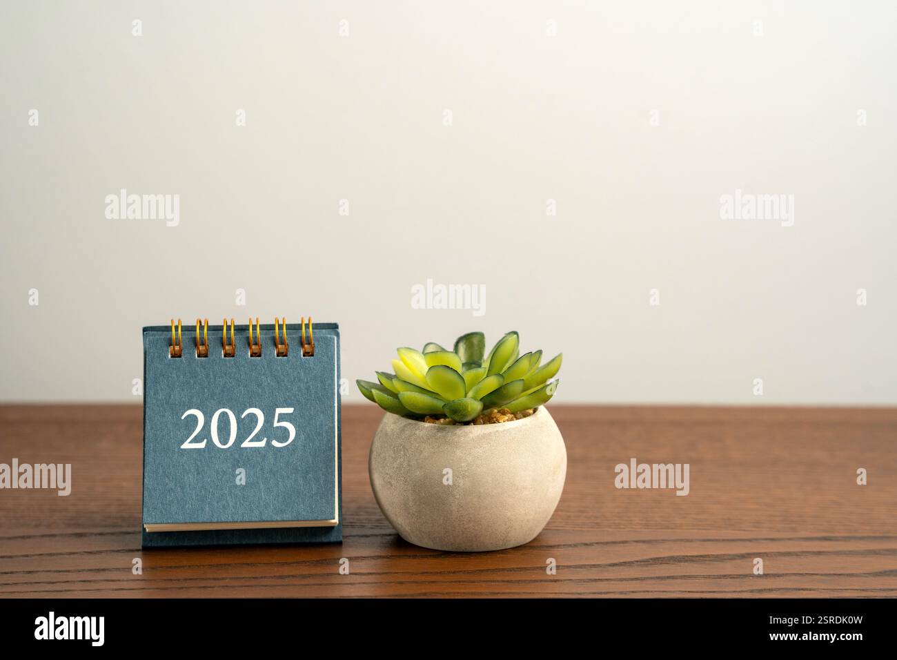 Paper calendar 2025 and succulent on the table. Beginning of a new year ...