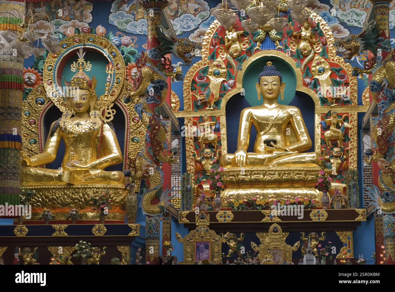 Golden Buddha statues in Namdroling monastery Palyul Nyingmapa Buddhist ...