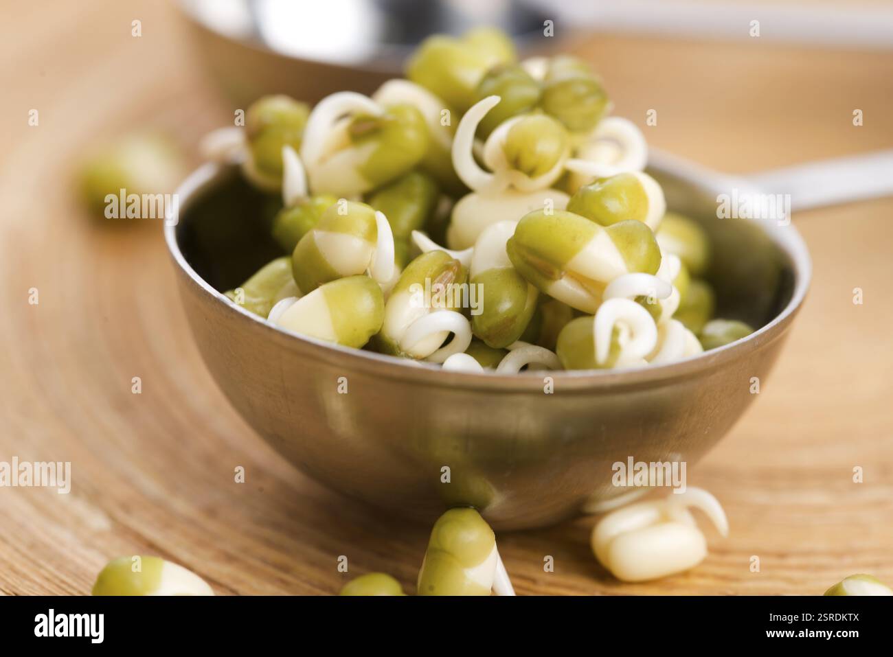 Sprouted mung beans, lodz, poland Stock Photo - Alamy