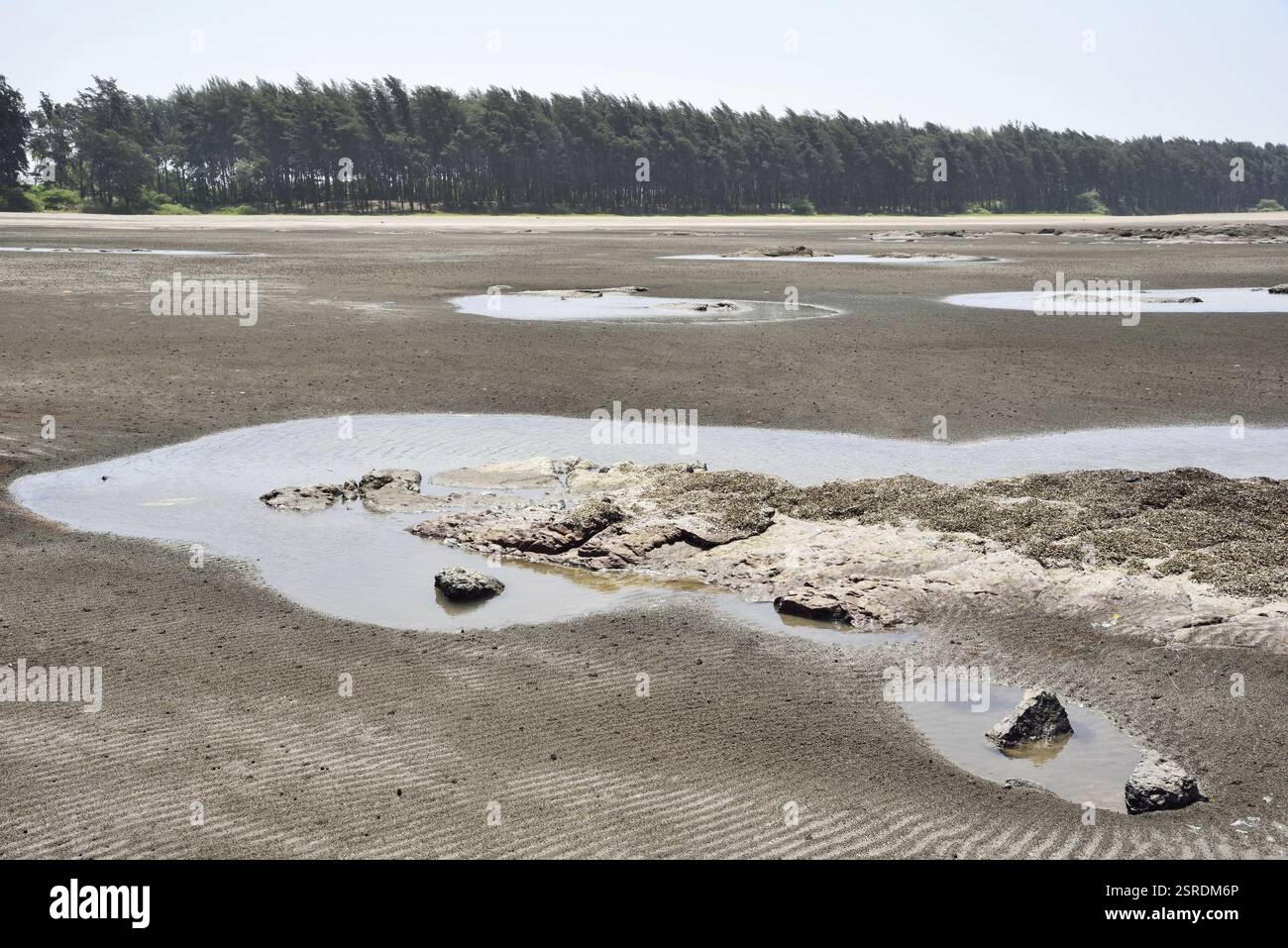 Black sand pattern, Saranda Beach, Valsad, Gujarat, India, Asia Stock ...