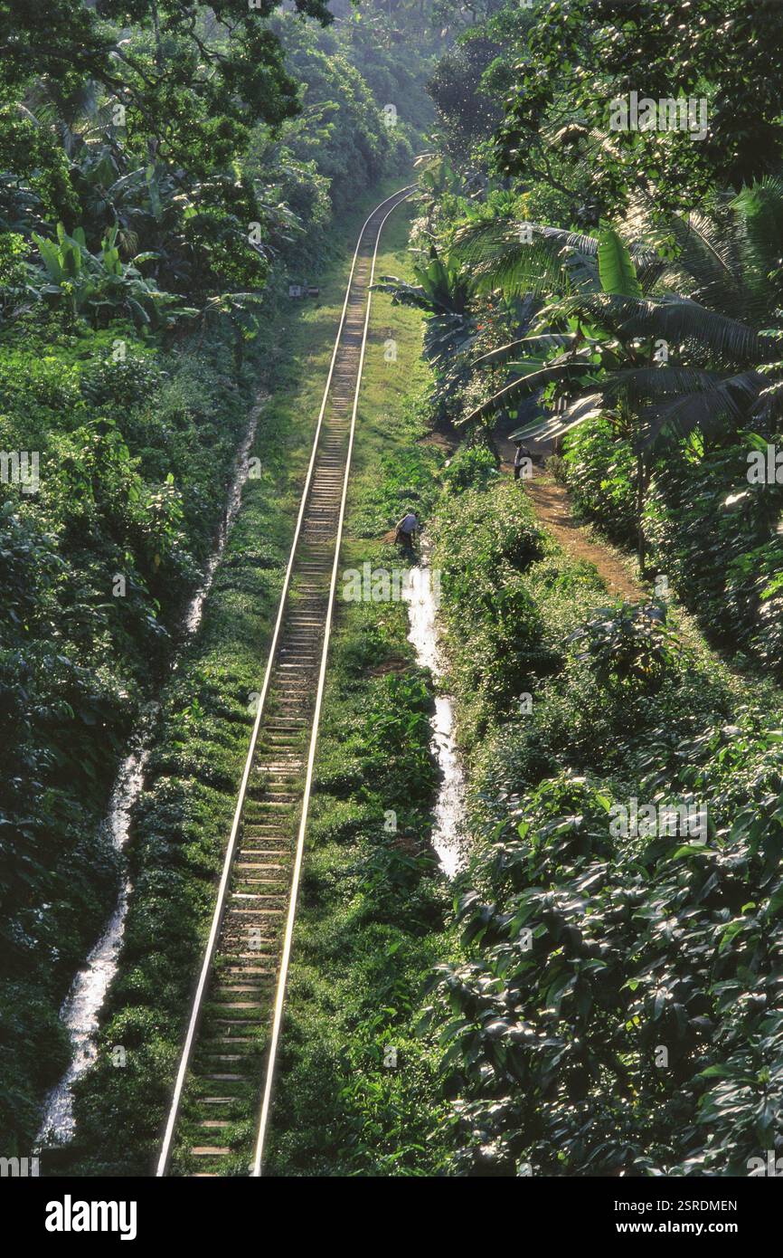 Railway track, Kerala, India, Asia Stock Photo - Alamy