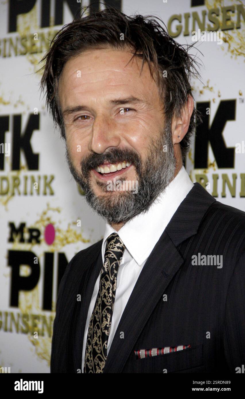 David Arquette at the Mr. Pink Ginseng Drink Launch Party held at the ...
