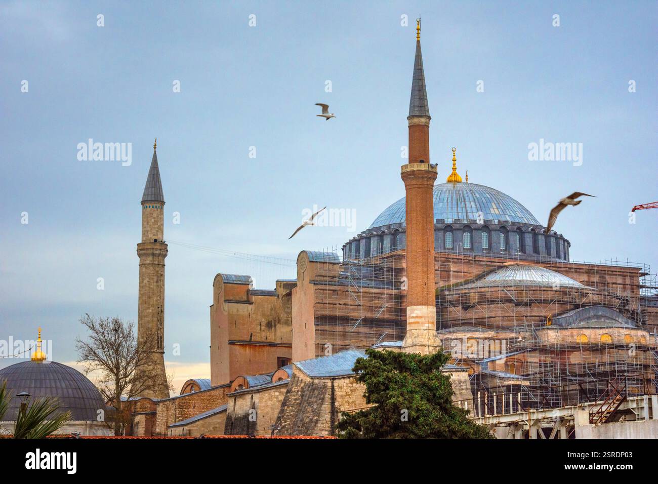 Hagia Sophia Grand Mosque and museum, Istanbul, Turkey Stock Photo - Alamy
