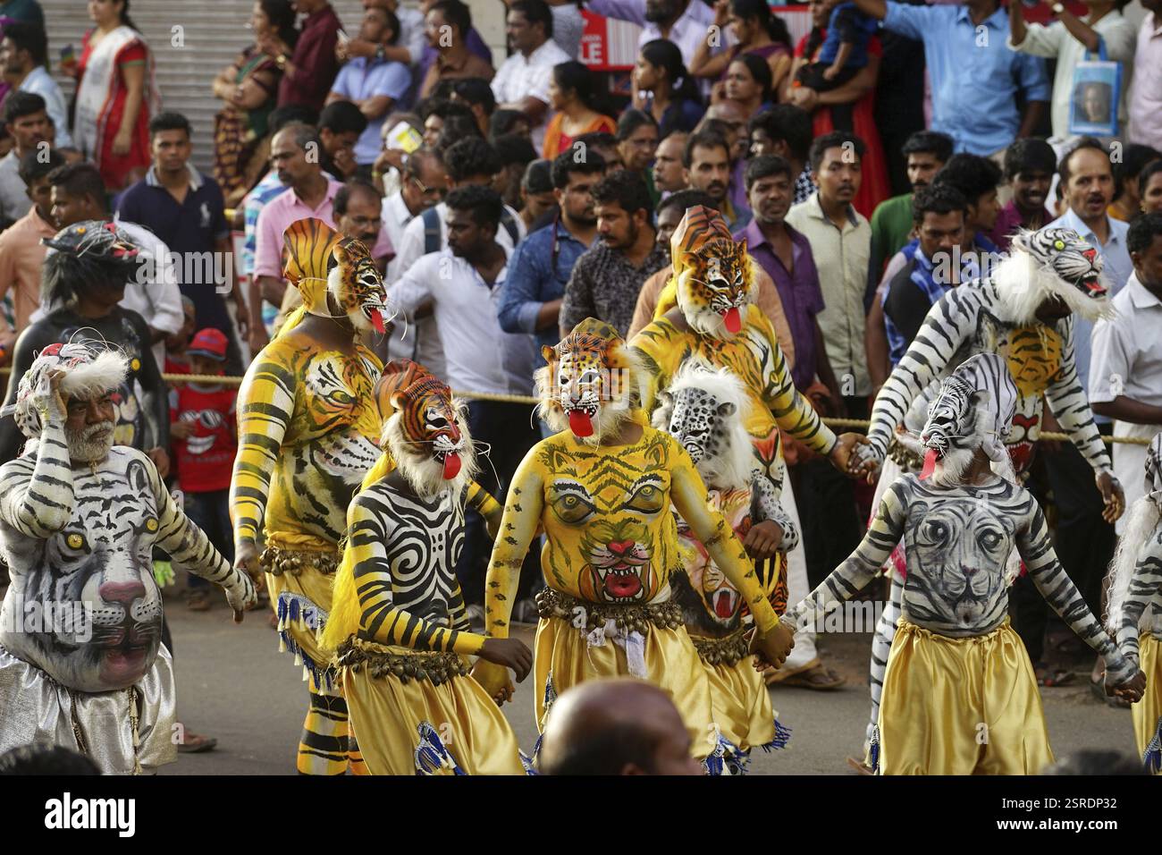 Pulikali Tiger Dance procession, Onam festival, Thrissur, Kerala, India ...
