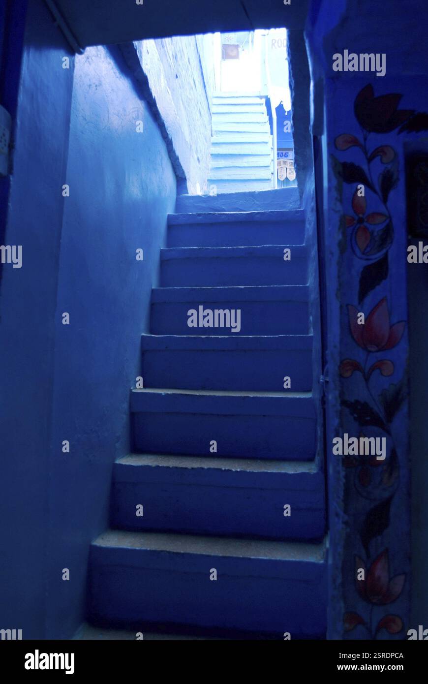 Steps in blue house in brahmapuri, Jodhpur, Rajasthan, India, Asia ...