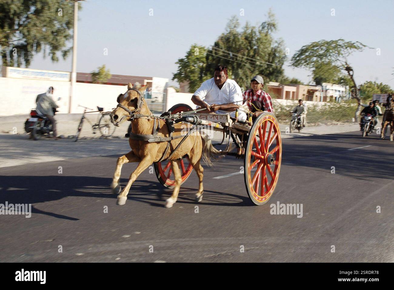 Horse cart race, Jodhpur, Rajasthan, India, Asia Stock Photo - Alamy