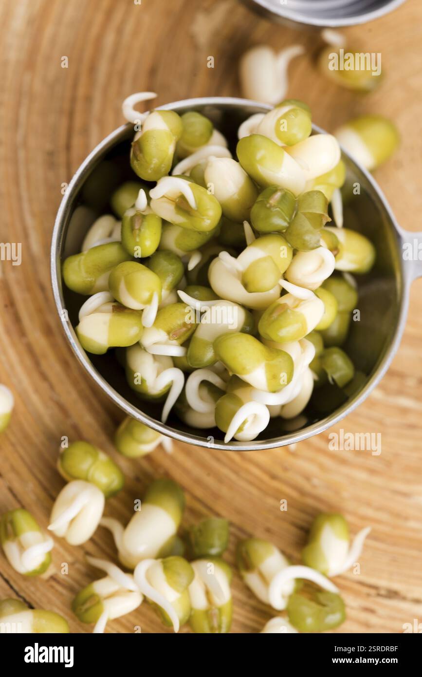 Sprouted mung beans, lodz, poland Stock Photo - Alamy