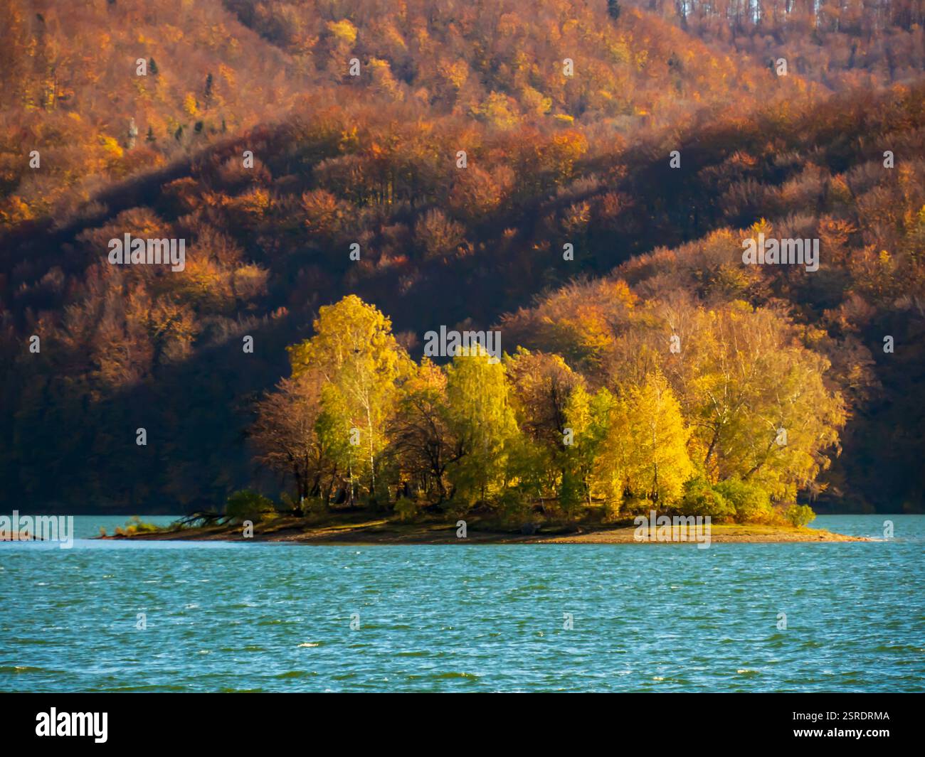 Small island and colorful hills above Solina. Autumn at the Soliński ...