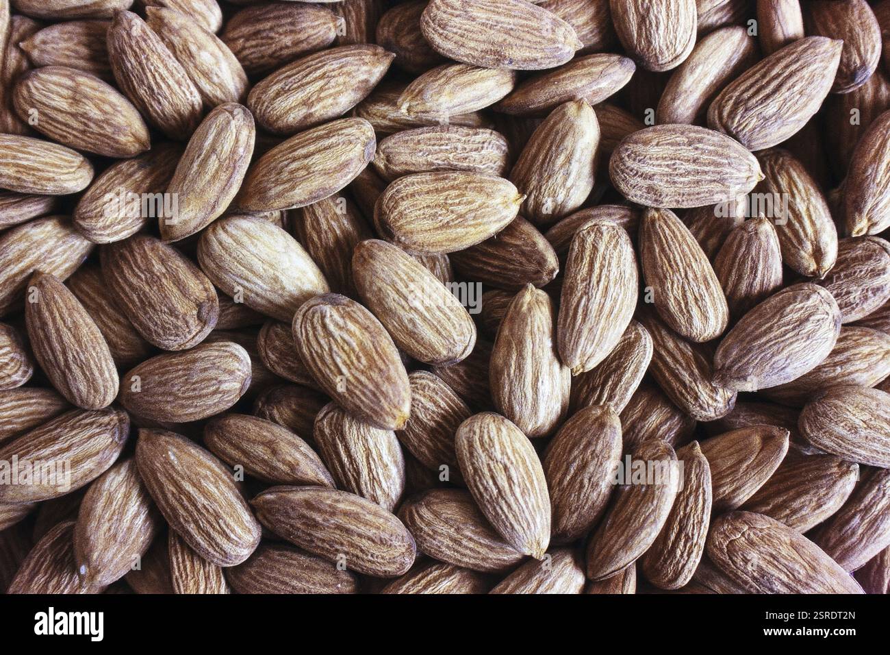 Fresh Almonds, Mumbai, India, Asia Stock Photo - Alamy