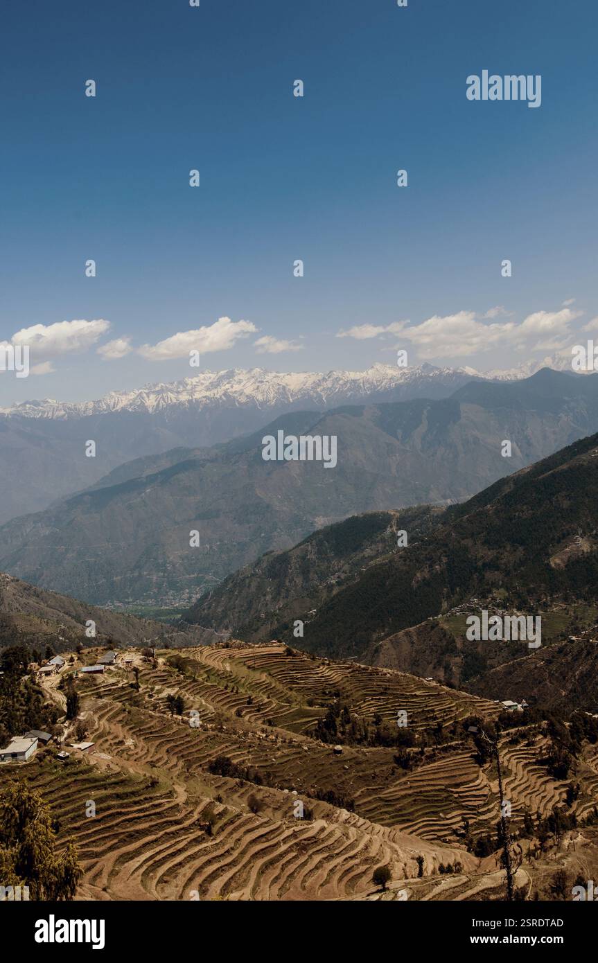 Terrace farming, Chamba, himachal pradesh, India, Asia Stock Photo - Alamy