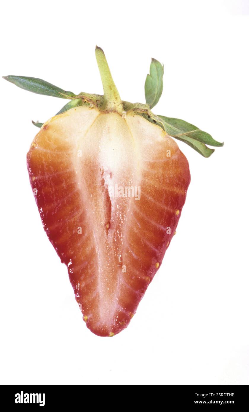 Fruits - Strawberry Stock Photo - Alamy