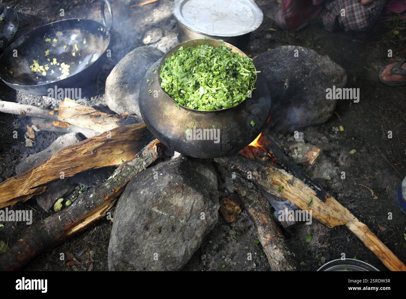 A green vegetable cooked on bonfire Uttarakhand India Asia Stock Photo ...