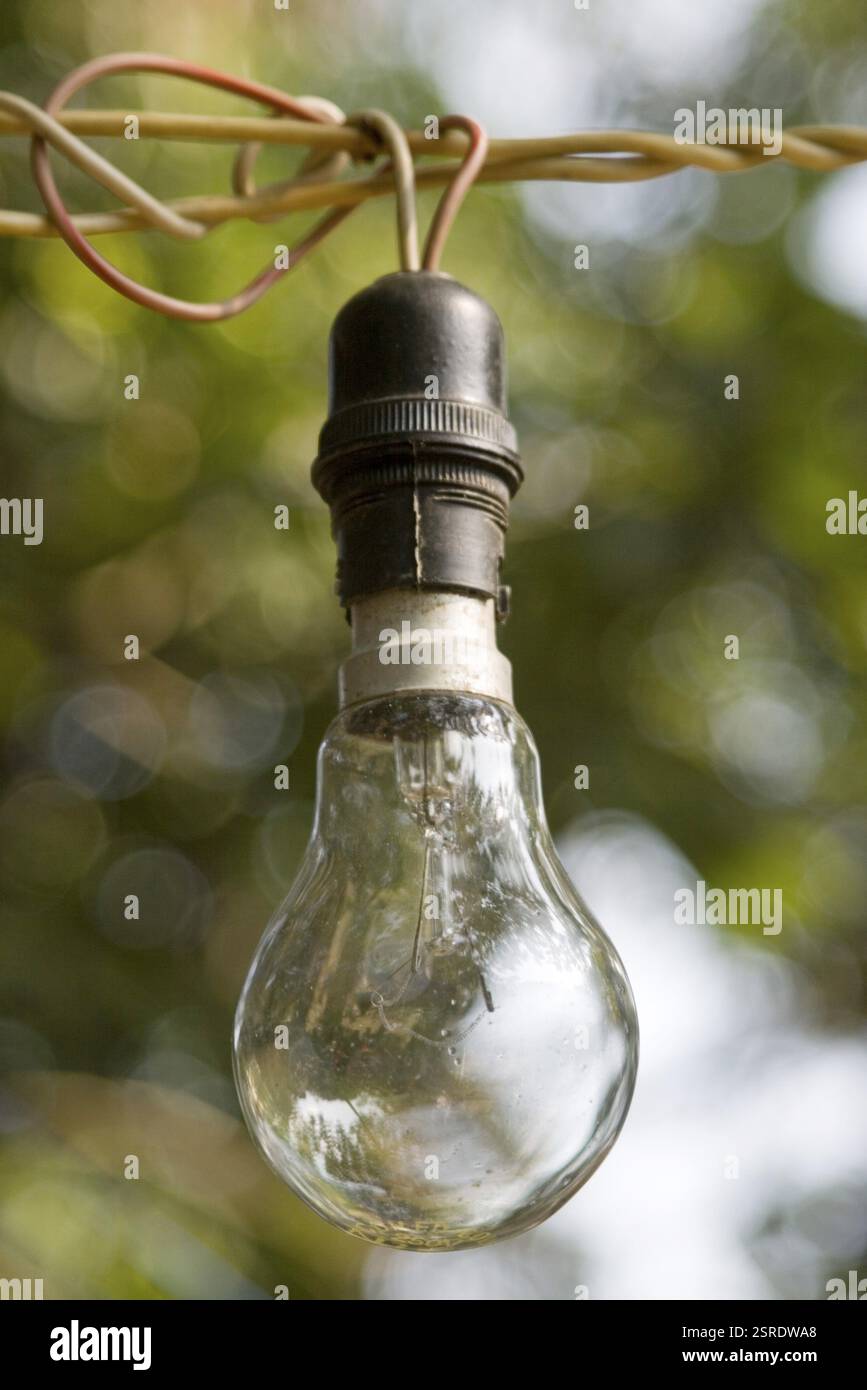 Empty bulb holder hanging hi-res stock photography and images - Alamy