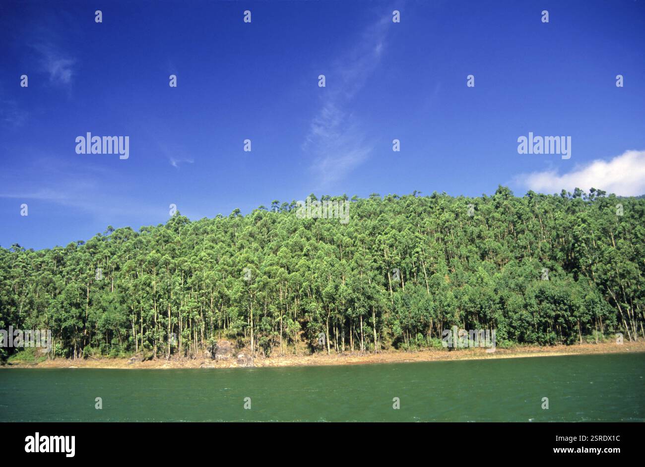 Echo Point, Munnar, Kerala, India, Asia Stock Photo - Alamy