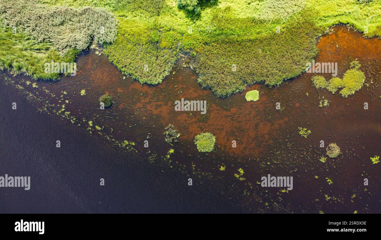 Aerial View of Marshy Wetlands with Green Vegetation and Water Patches ...