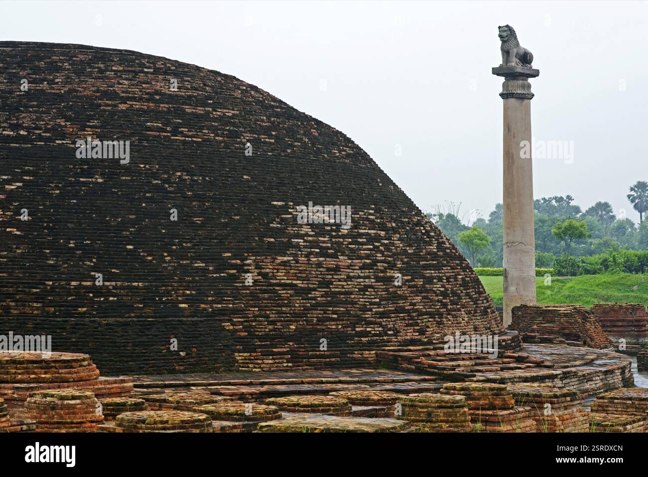 Ashoka pillar, Kolhua, Vaishali, Bihar, India, Asia Stock Photo - Alamy Ashoka pillar, Kolhua, Vaishali, Bihar, India, Asia Stock Photo - Alamy
