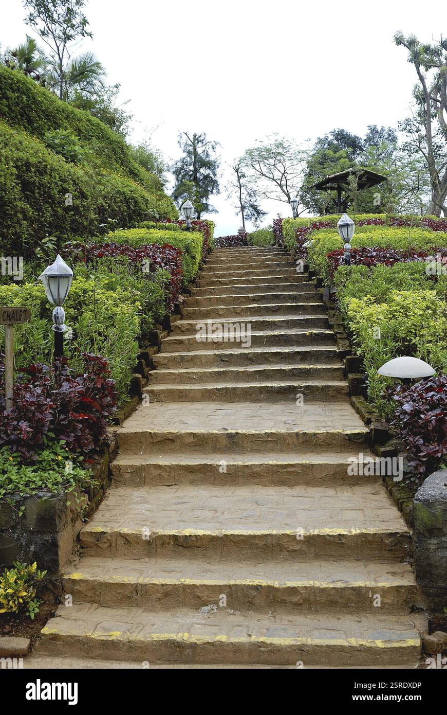 Anandvan resort, Bhandardhara, Nashik District, Maharashtra, India ...