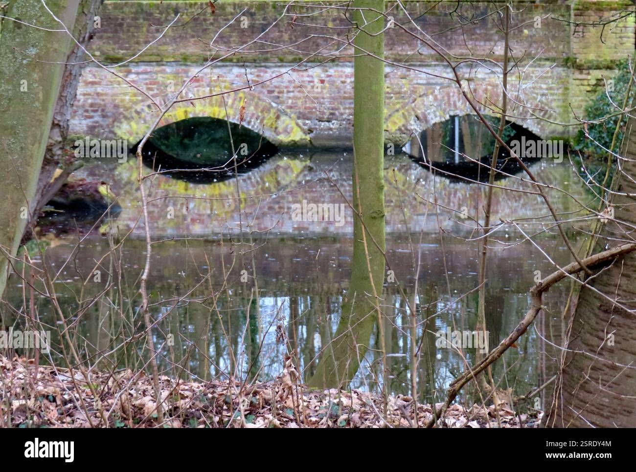 ...da hol mich doch der ...sonst wer...wer traegt so eine Riesenbrille ...