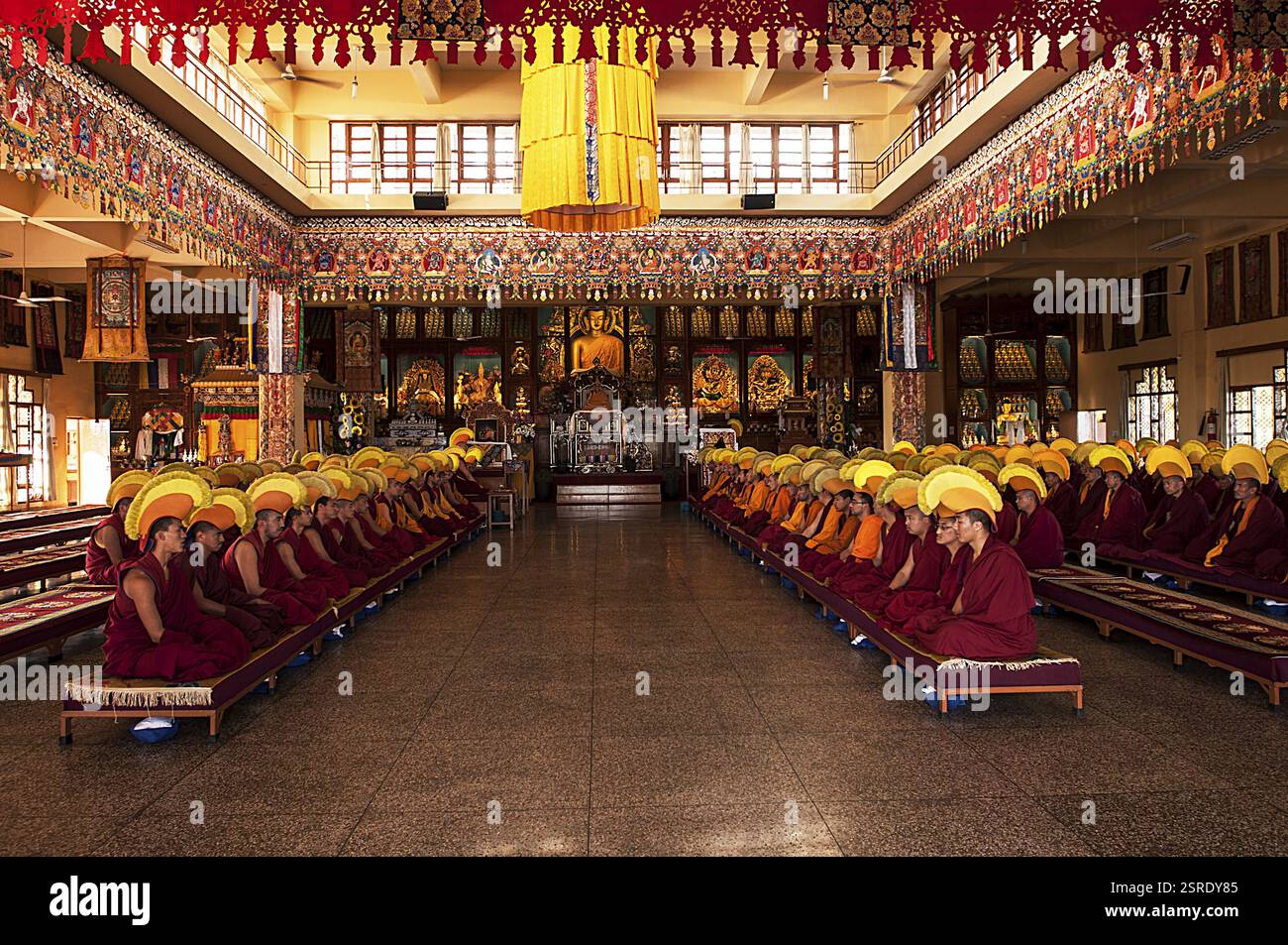 Gyuto Monastery, Dharamsala, Himachal Pradesh, India, Asia Stock Photo ...