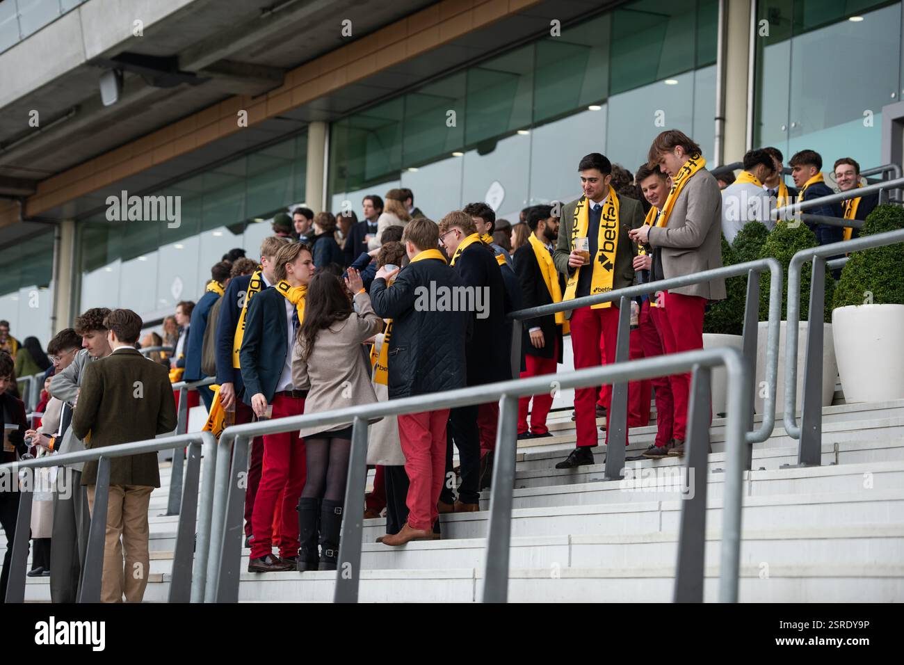 Ascot, United Kingdom. Saturday 15th February 2025. Crowds of racegoers ...