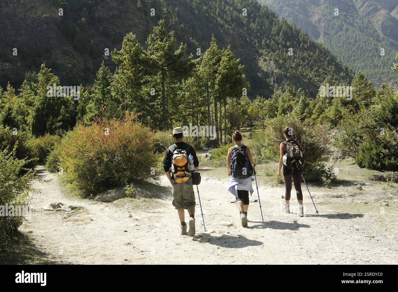 Four trekkers hi-res stock photography and images - Alamy