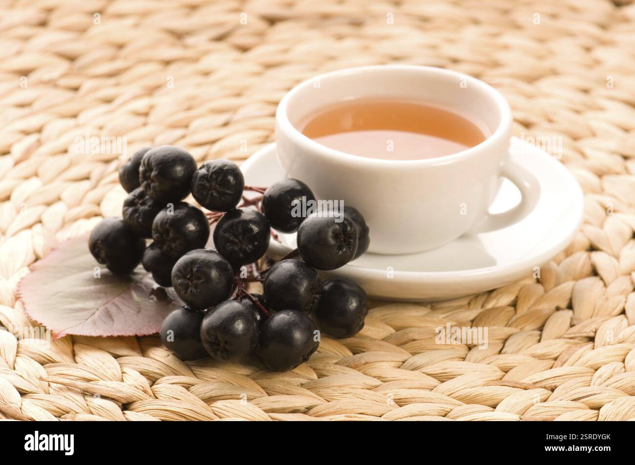 Black chokeberry tea, poland Stock Photo - Alamy